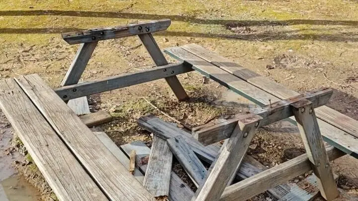 Vandalismo en el Parque de los Patos de Puertollano