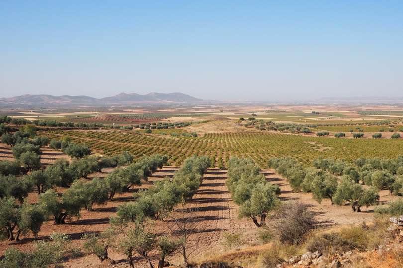 El Gobierno de Castilla-La Mancha trabaja para tomar medidas que palíen ...