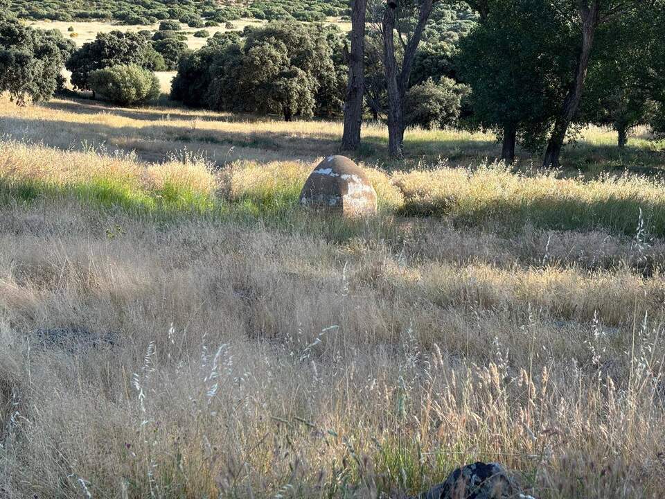 El desolador abandono de 'Las Cazoletas' en Puertollano: cuando la ...